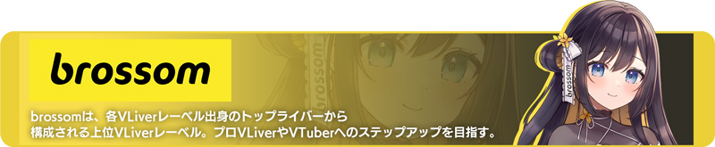 ENILISがHareVareとbrossomを統合し、「ENILIS VLiver Project」を始動！